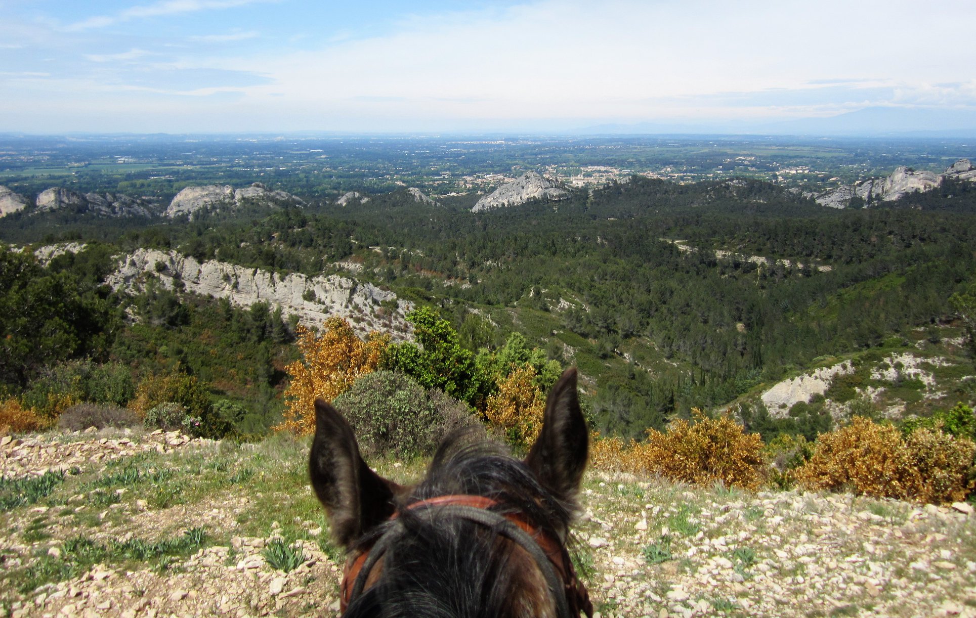 Horse riding in Provence (Copy) | Cap Rando - Horseback riding vacations