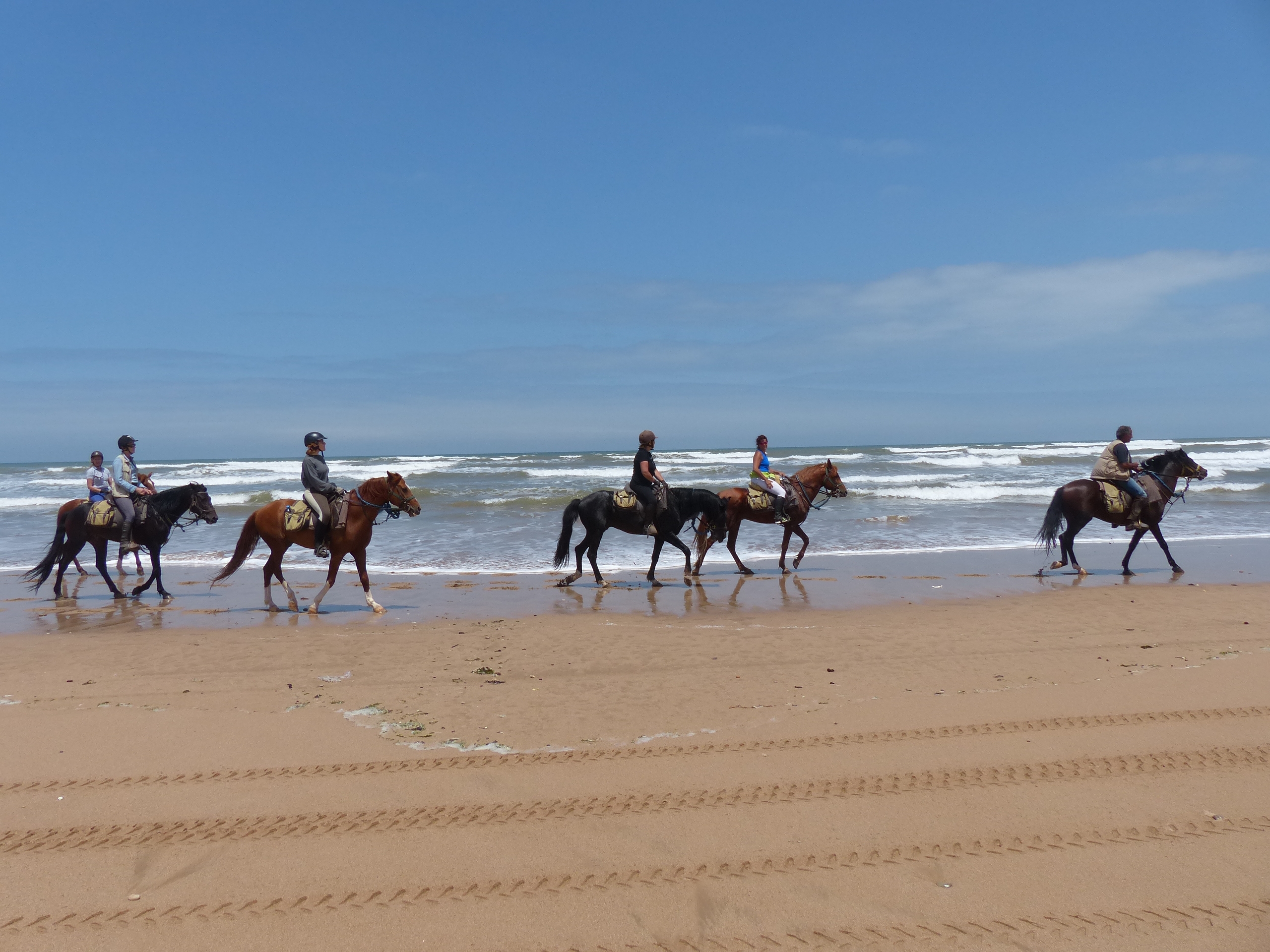 Horseback Trail Ride in MOROCCO : THE ESSAOUIRA ROUND IN RIADS AND ...