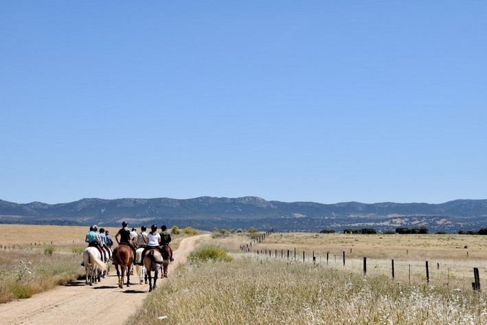 SPAIN : HORSE TRANSHUMANCE BETWEEN SIERRA DE GREDOS AND EXTREMADURA ...